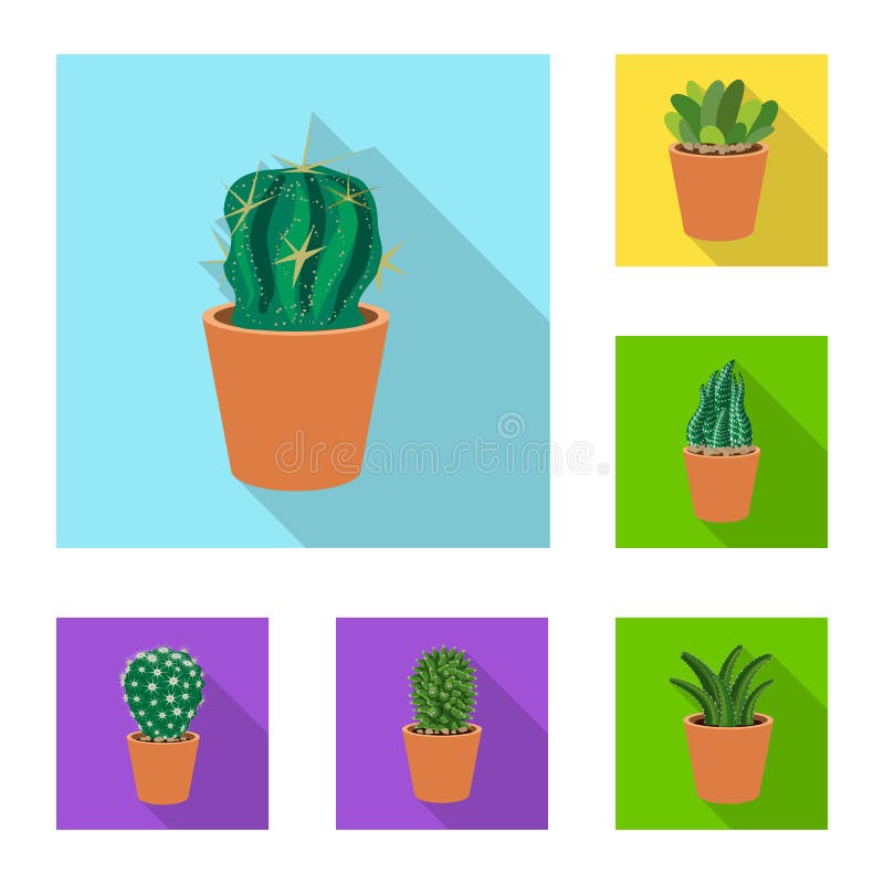 Isolated Object of Cactus and Pot Icon. Collection of Cactus and Cacti ...
