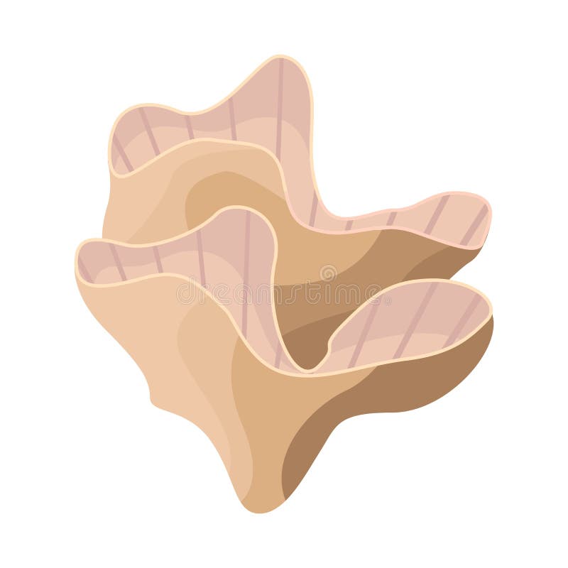 Vector Design of Coral and Algae Logo. Collection of Coral and Flourish ...