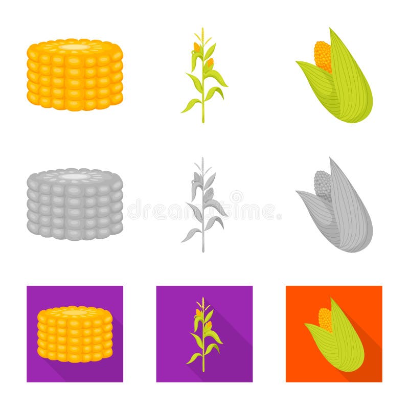 Vector Design of Cornfield and Vegetable Logo. Set of Cornfield and ...