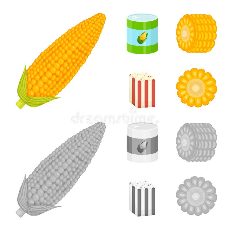 Vector Design of Cornfield and Vegetable Symbol. Set of Cornfield and ...