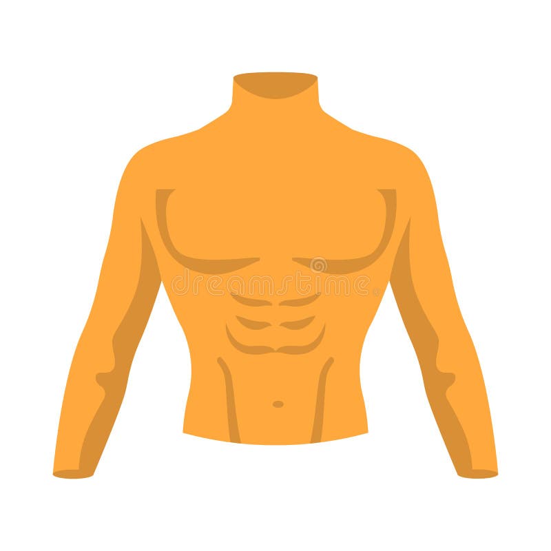Male Torso Cartoon Stock Illustrations – 1,235 Male Torso Cartoon Stock ...
