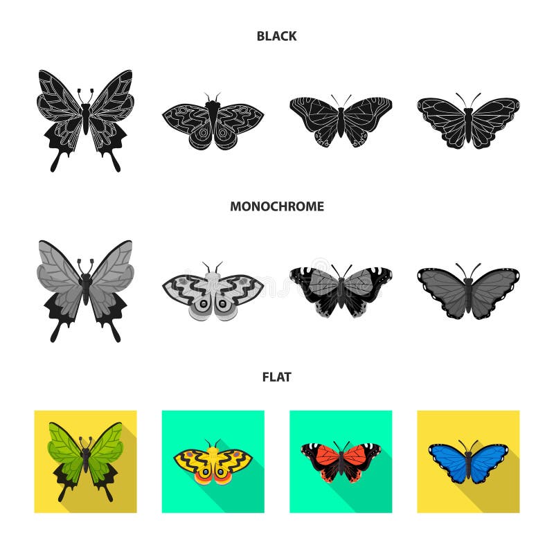 Vector Design of Exotic and Botanic Sign. Set of Exotic and Tropics ...