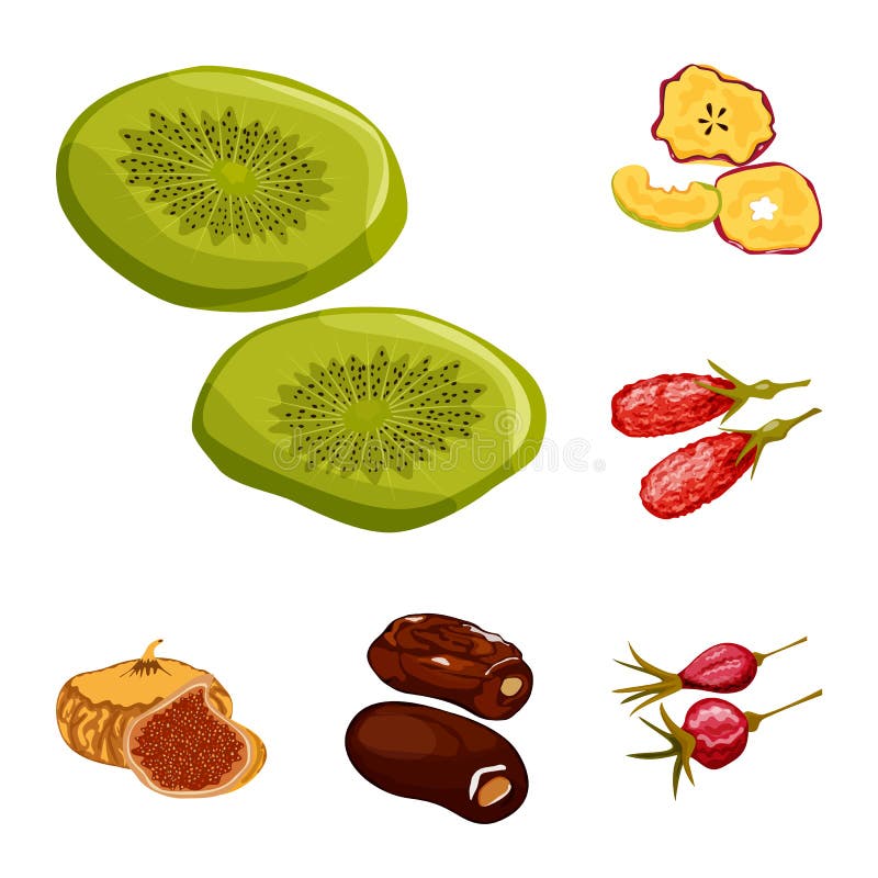 Vector Design of Fruit and Dried Icon. Collection of Fruit and Food ...