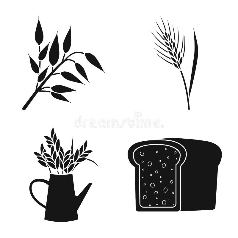 Vector Design of Grain and Harvest Icon. Collection of Grain and Field ...