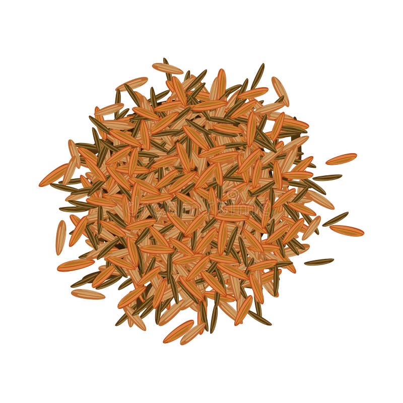 Vector Design of Grain and Rice Sign. Set of Grain and Seed Vector Icon ...