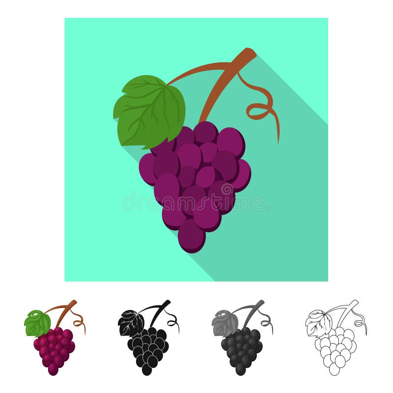 Vector Design of Grape and Bunch Icon. Collection of Grape and Fruit ...