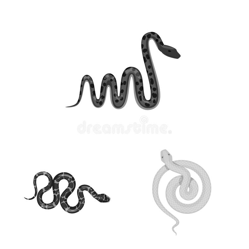 Vector Design of Harm and Bite Icon. Set of Harm and Reptile Stock ...