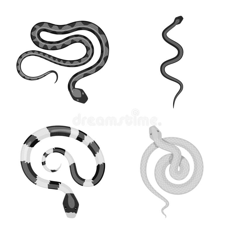 Vector Design of Harm and Bite Icon. Set of Harm and Reptile Stock ...
