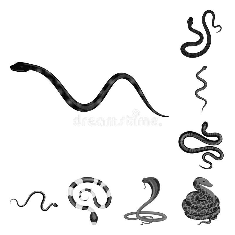 Vector Design of Harm and Bite Icon. Set of Harm and Reptile Stock ...