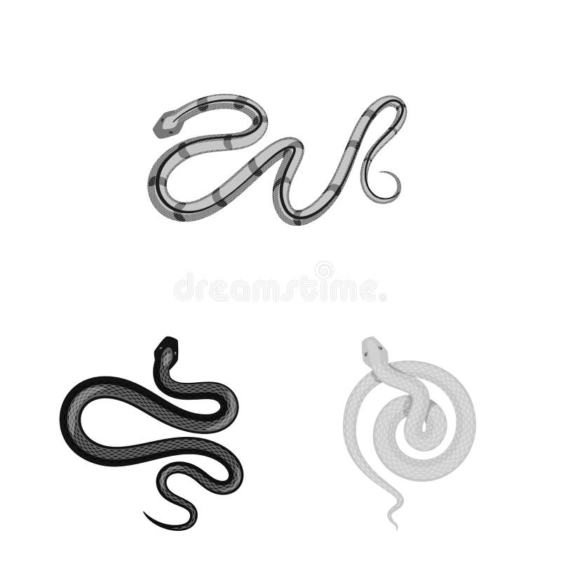 Vector Design of Harm and Bite Symbol. Collection of Harm and Reptile ...