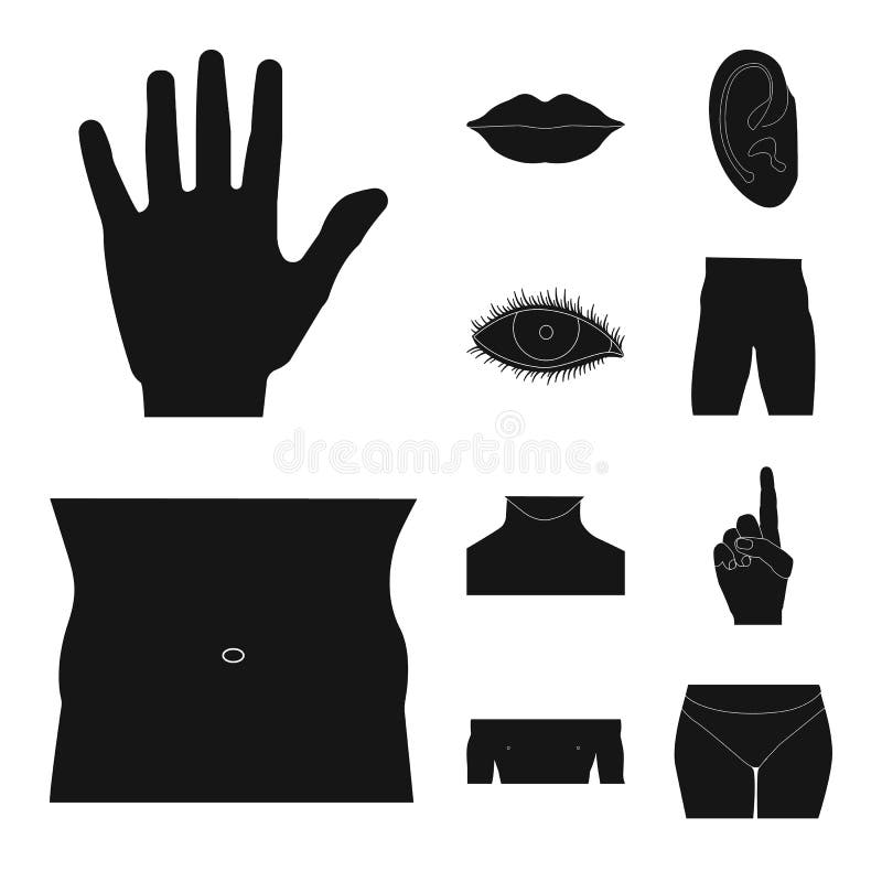 Isolated Object of Human and Part Icon. Collection of Human and Woman ...