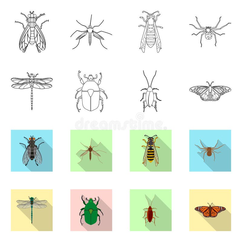 Vector Design of Insect and Fly Icon. Collection of Insect and Element ...