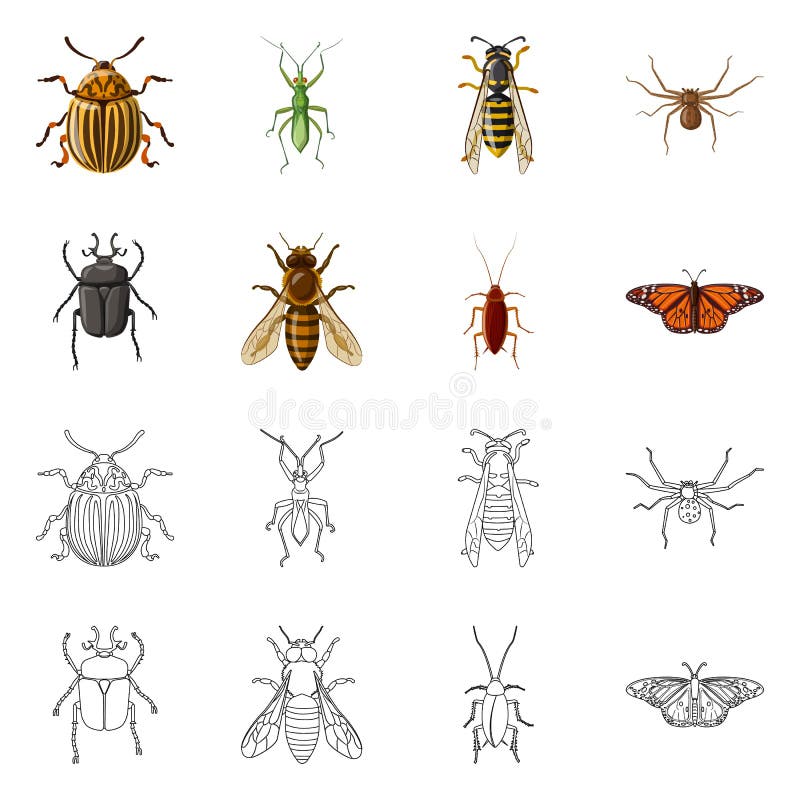 Vector Design of Insect and Fly Icon. Collection of Insect and Element ...