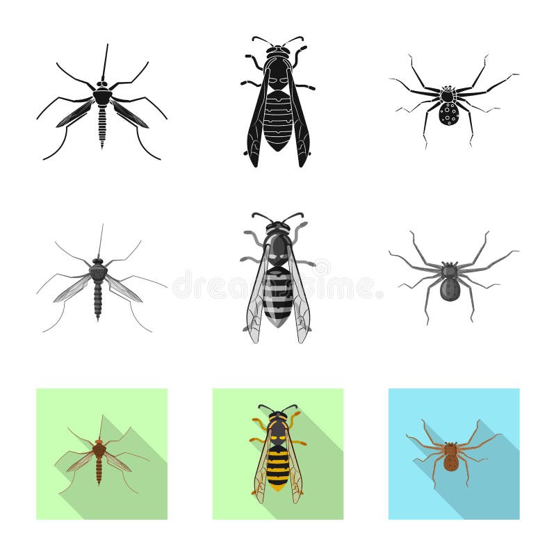 Vector Design of Insect and Fly Icon. Set of Insect and Element Stock ...