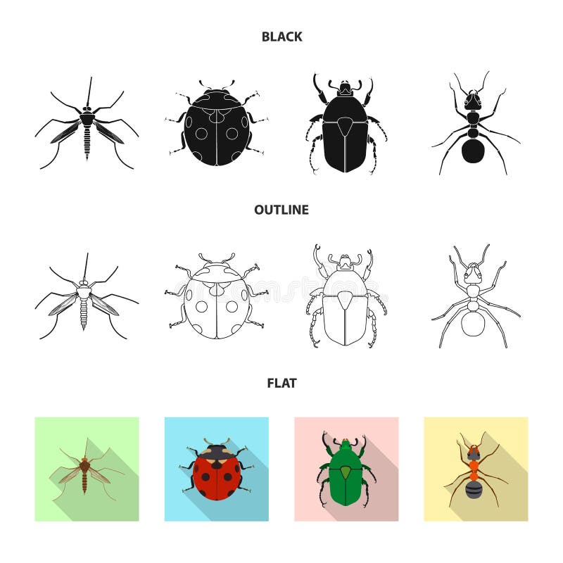 Vector Design of Insect and Fly Logo. Collection of Insect and Element ...
