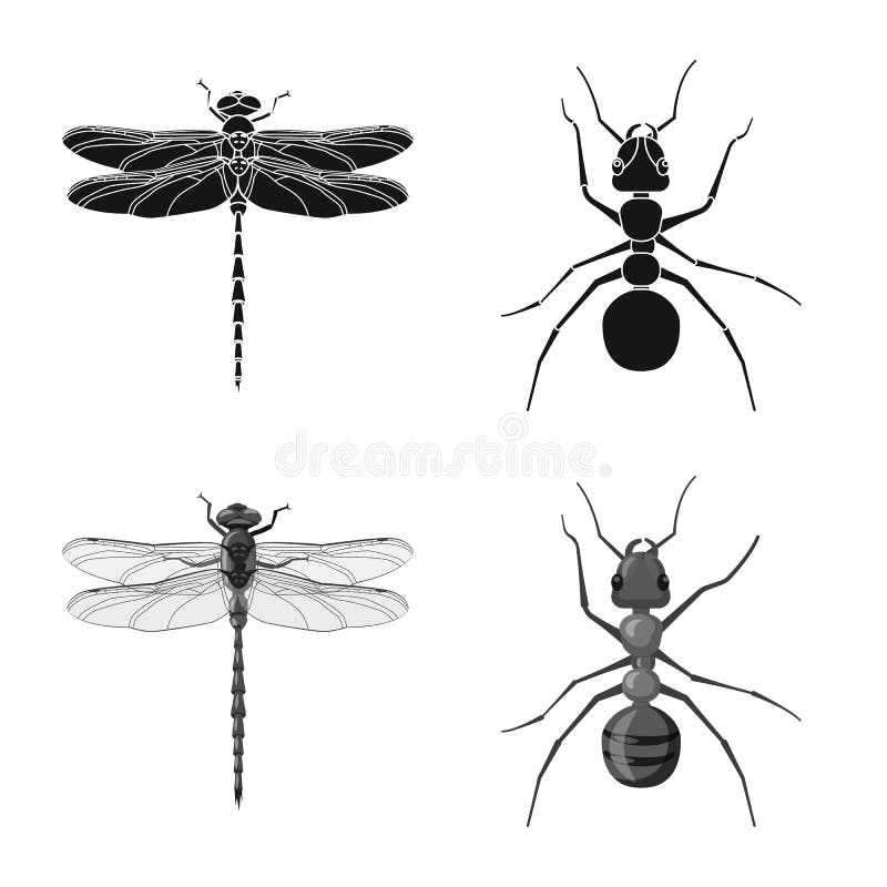 Isolated Object of Insect and Fly Sign. Set of Insect and Element ...