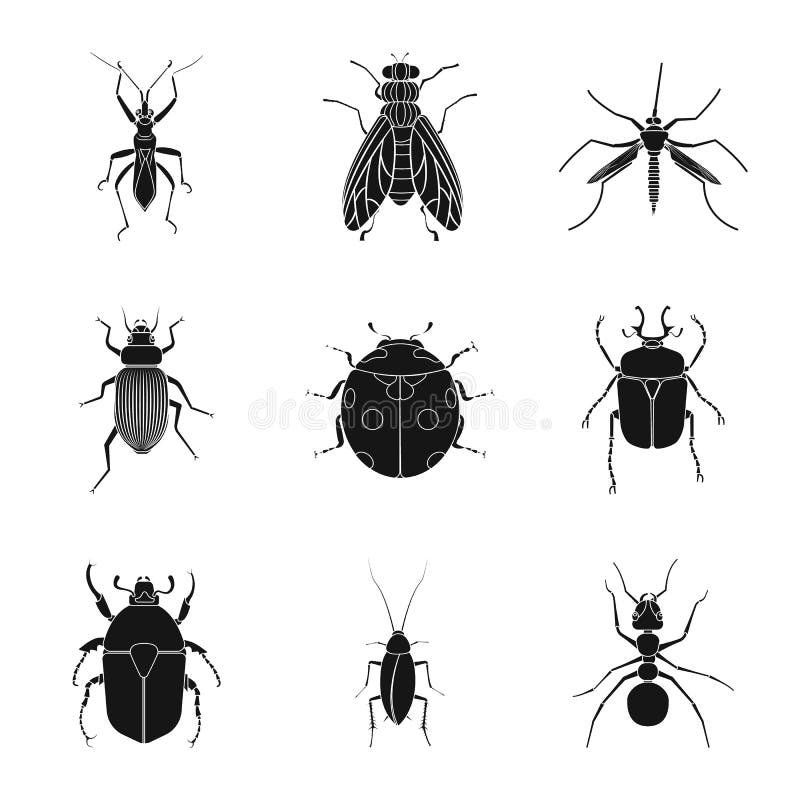 Vector Design of Insect and Fly Symbol. Set of Insect and Element ...