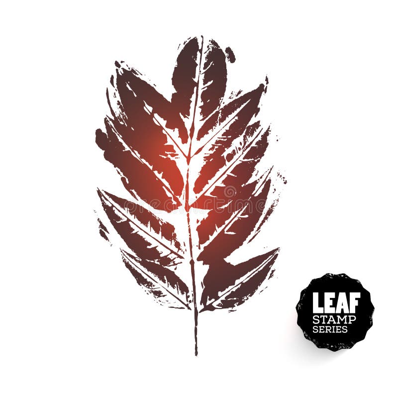 Vector Design Leaf Retro Stamp Stock Vector - Illustration of branch ...