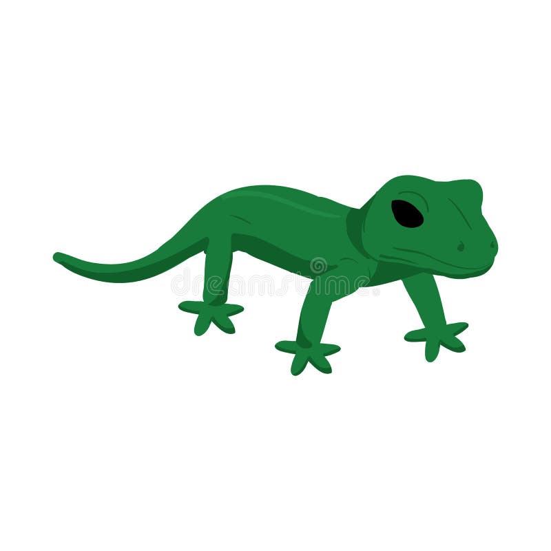 Vector Design of Lizard and Green Icon. Set of Lizard and Coloring ...