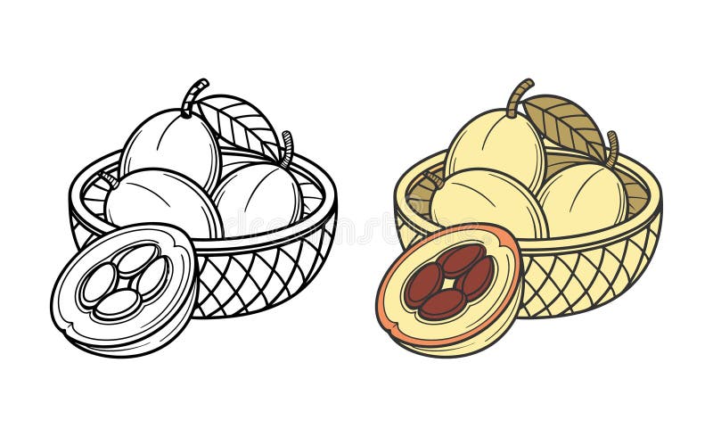 Loquat Fruit in a Basket Vector Illustration Design Stock Vector ...