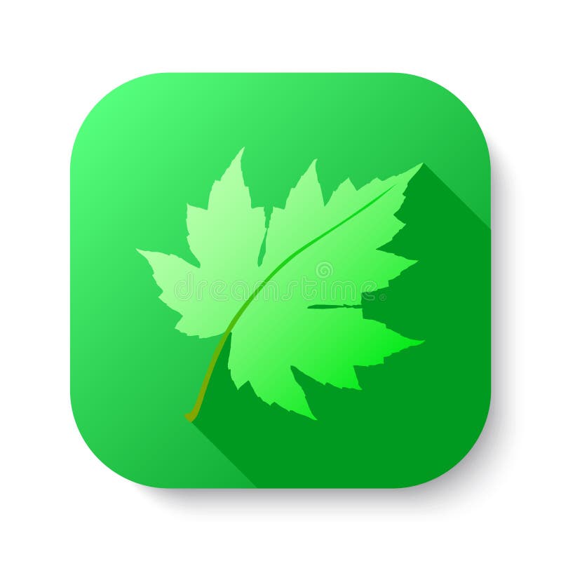 Leaf stock vector. Illustration of biology, leaf, mobile - 123116429