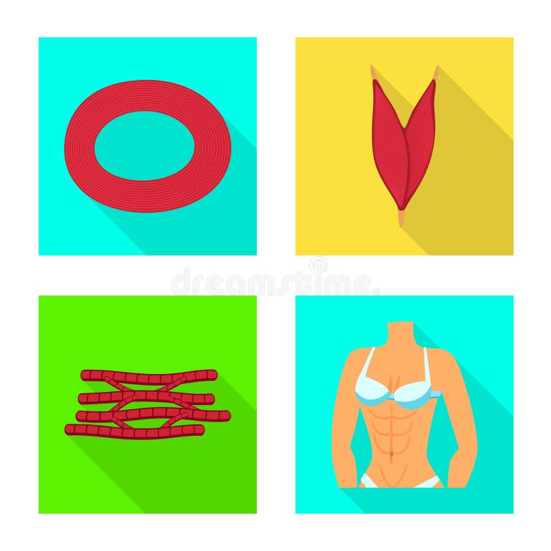 Vector Design of Muscle and Cells Sign. Collection of Muscle and ... Vector Design of Muscle and Cells Sign. Collection of Muscle and ...