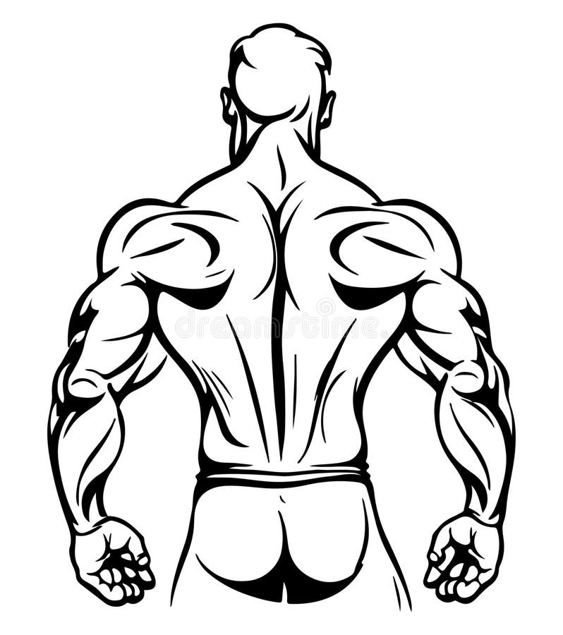 Muscular man back stock vector. Illustration of bodybuilder - 291405194