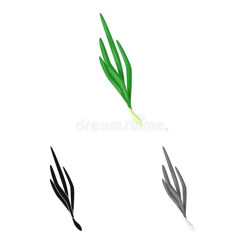 Vector Design of Onion and Vegetables Symbol. Set of Onion and Leaf ...