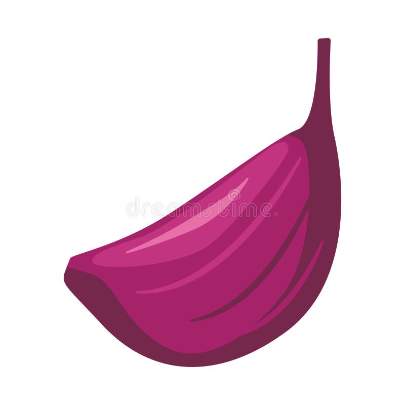 Vector Design of Piece of Fresh Raw Red Onion Food Vegetable Stock ...