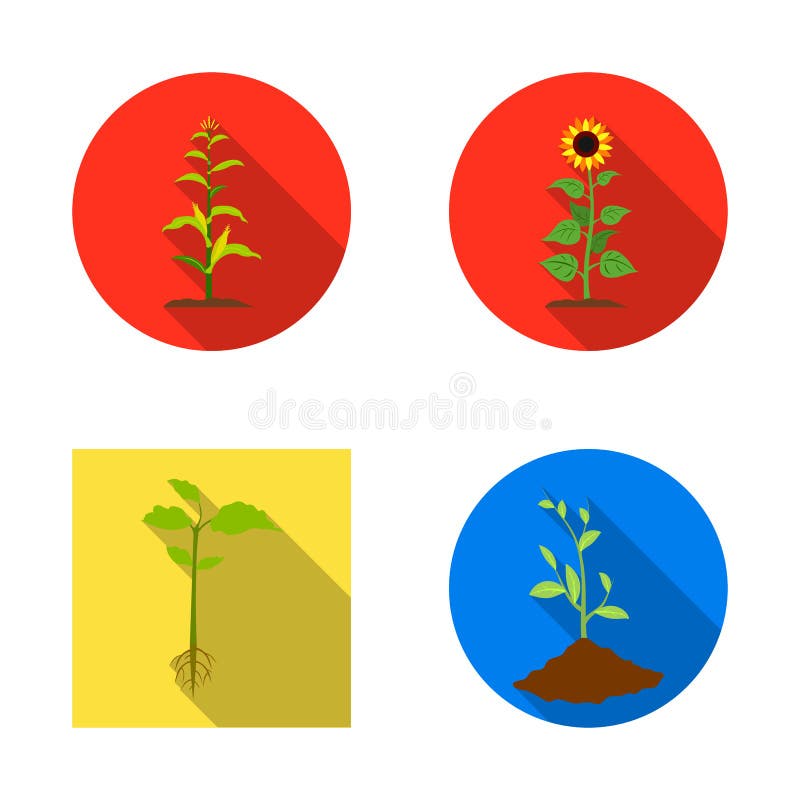 Vector Design of Plant and Bean Logo. Set of Plant and Process Vector ...