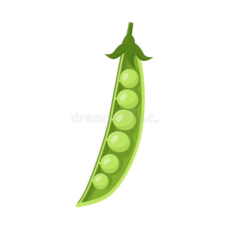 Vector Design of Pod and Peas Icon. Web Element of Pod and Legume Stock ...