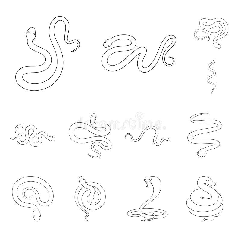 Vector Design of Poison and Evil Symbol. Set of Poison and Bite Vector ...