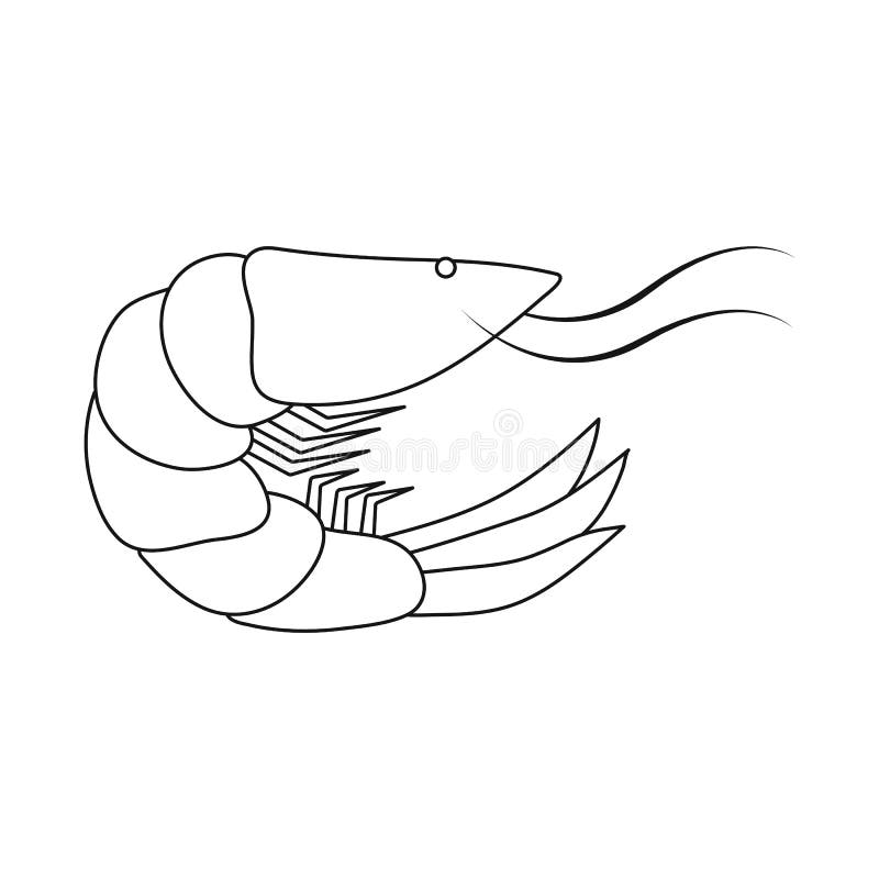 Isolated Object of Prawn and Creature Sign. Collection of Prawn and ...