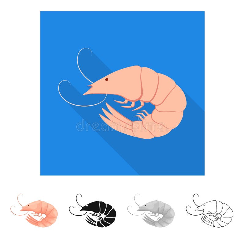 Vector Design of Prawn and Raw Logo. Collection of Prawn and Cooked ...