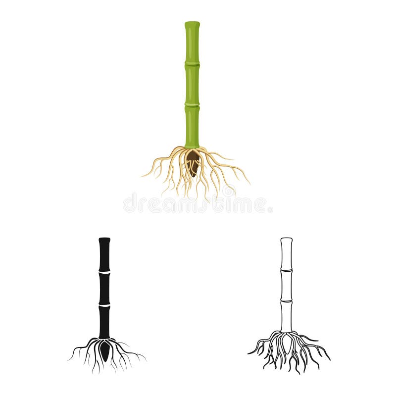 Root System Logo Stock Illustrations – 573 Root System Logo Stock ...