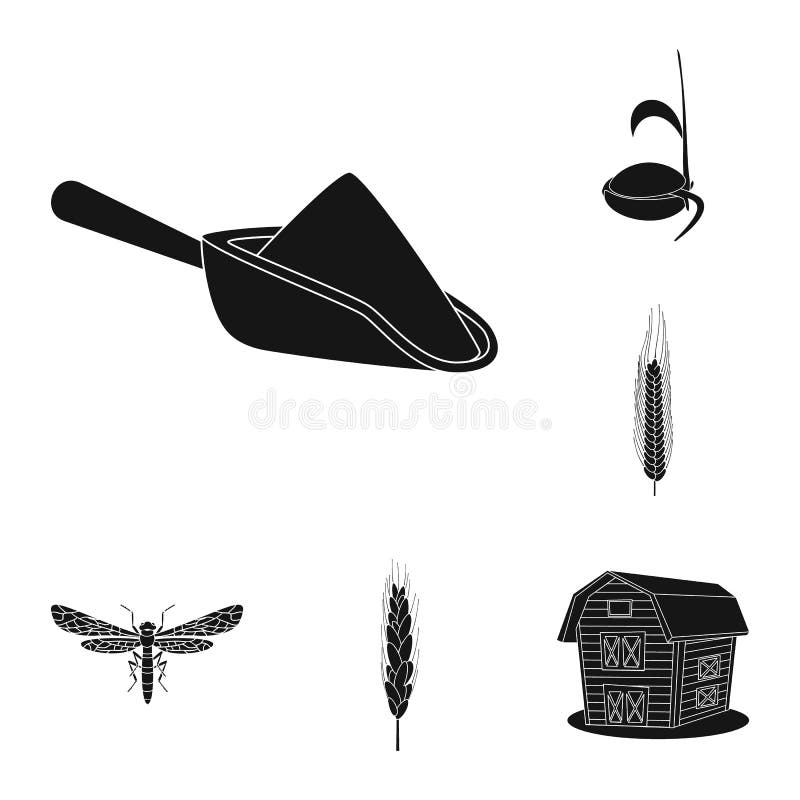 Vector Design of Rye and Plant Logo. Set of Rye and Corn Vector Icon ...