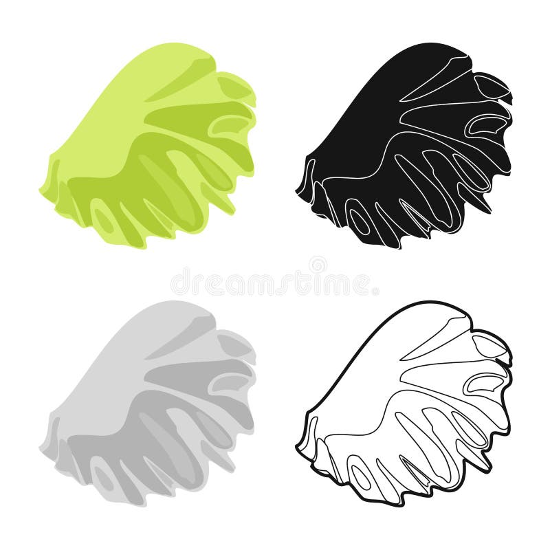 No Lettuce Symbol on White Background Stock Illustration - Illustration ...