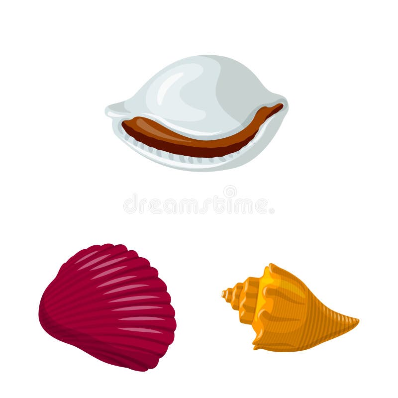 Isolated Object of Seashell and Mollusk Sign. Collection of Seashell ...