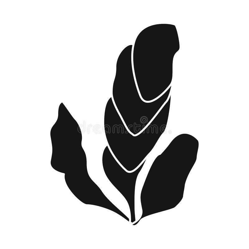 Vector Design of Seaweed and Algae Logo. Collection of Seaweed and Reef ...