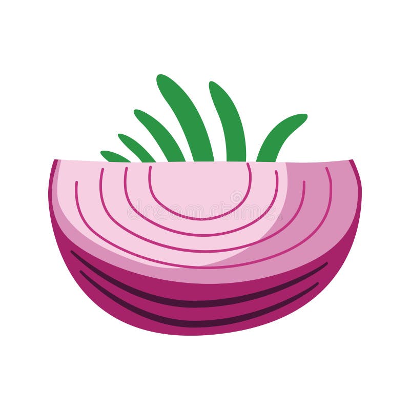 Vector Design of Sliced of Fresh Red Onion Food Vegetable with Leaf ...