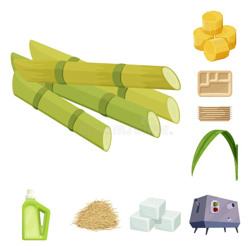 Sugarcane Bagasse Icon Stock Illustrations – 573 Sugarcane Bagasse Icon ...