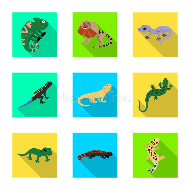 Vector Design of Tail and Fauna Logo. Set of Tail and Environment Stock ...