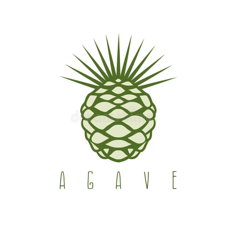 Vector Design Template of the Agave Stock Vector - Illustration of ...
