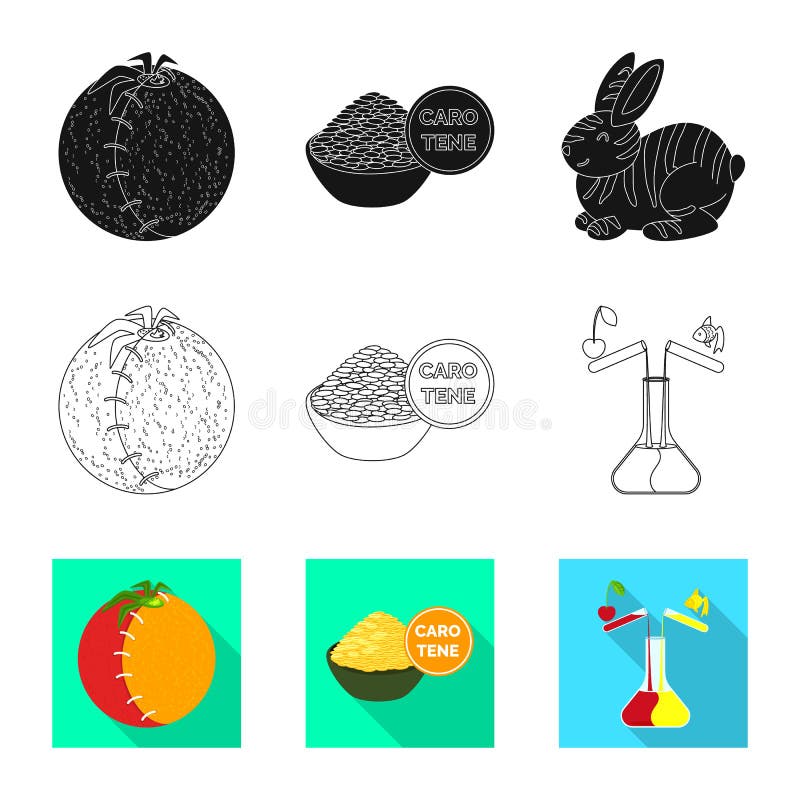 Vector Design Of Test And Synthetic Symbol. Collection Of Test And ...