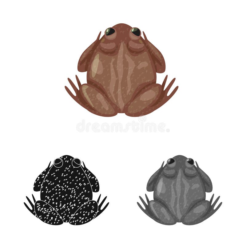 Vector Design of Toad and Biology Icon. Collection of Toad and Tropical ...