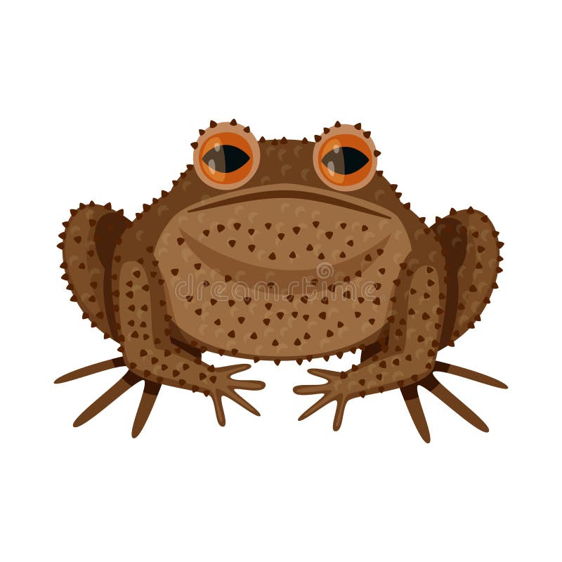 Isolated Object of Toad and Biology Sign. Set of Toad and Tropical ...