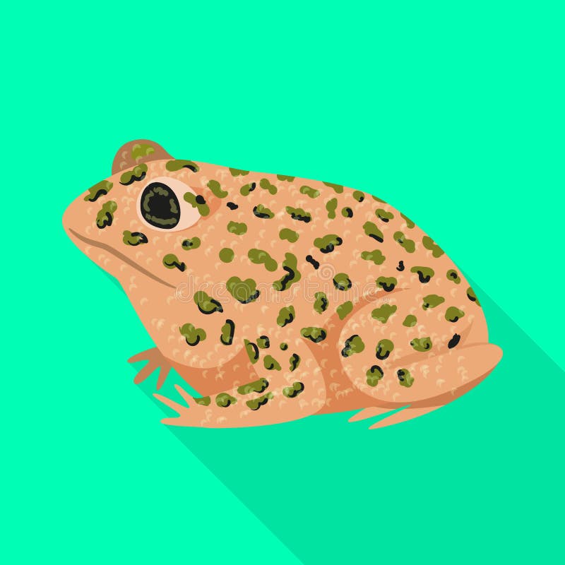 Isolated Object of Toad and Tropical Logo. Collection of Toad and ...