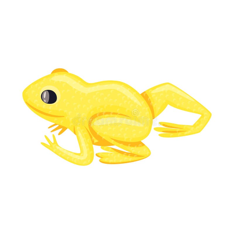 Isolated Object of Toad and Yellow Icon. Collection of Toad and ...