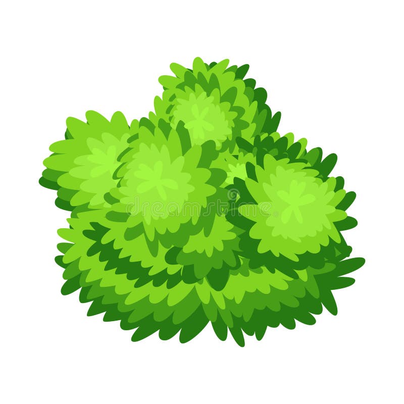 Isolated Object of Tree and Bush Logo. Collection of Tree and Green ...