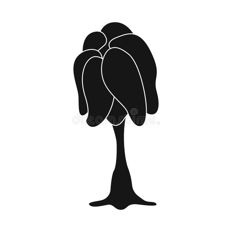 Isolated Object Of Tree And Nature Icon Collection Of Tree And Crown